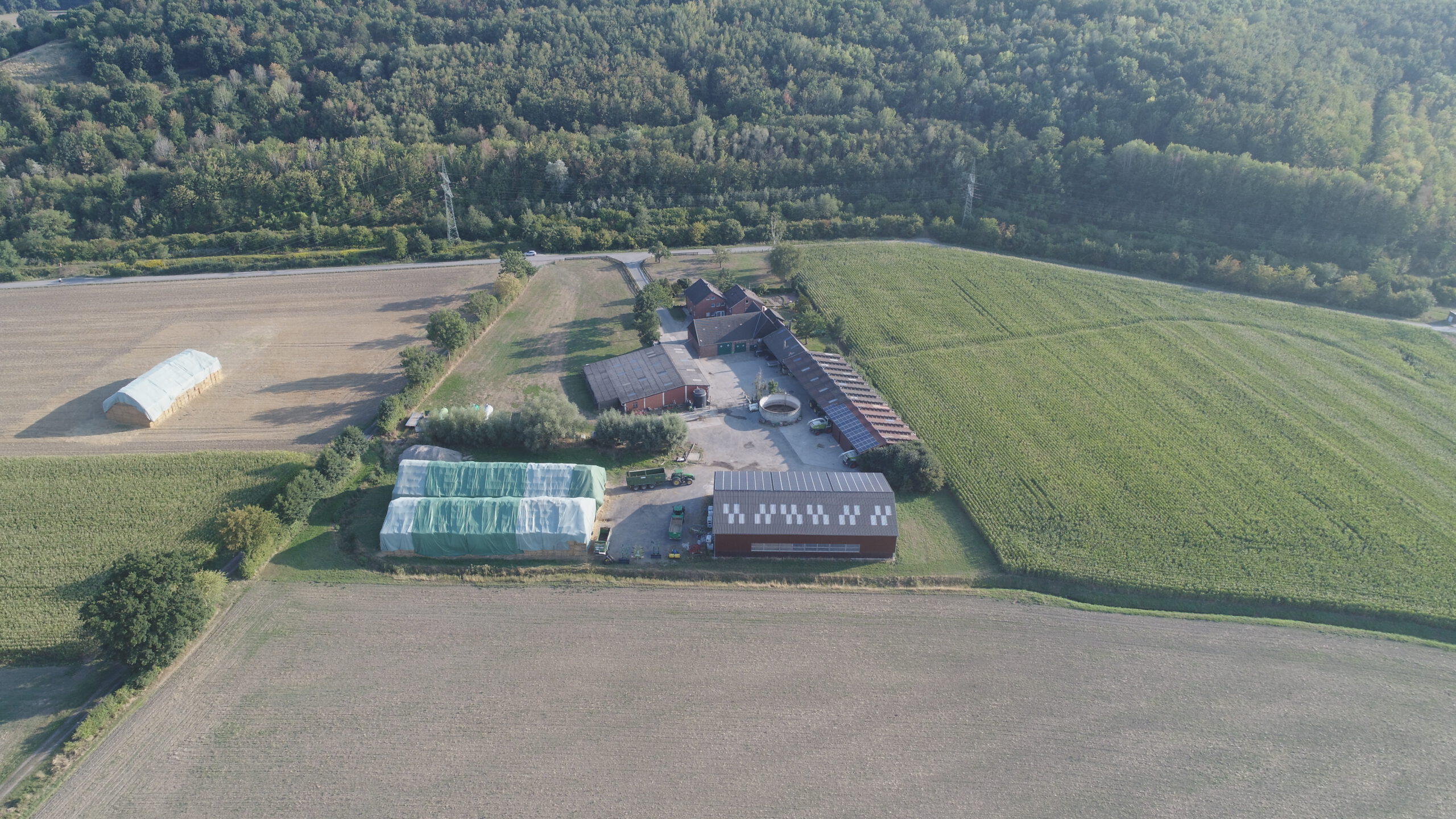 Über uns - Bernhard Dohle